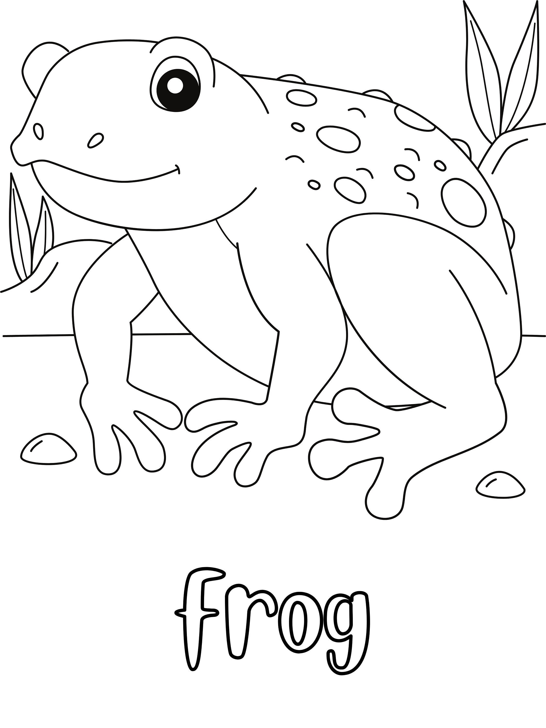 Frog Coloring Page, DIGITAL DOWNLOAD, Printable Coloring Page - Etsy
