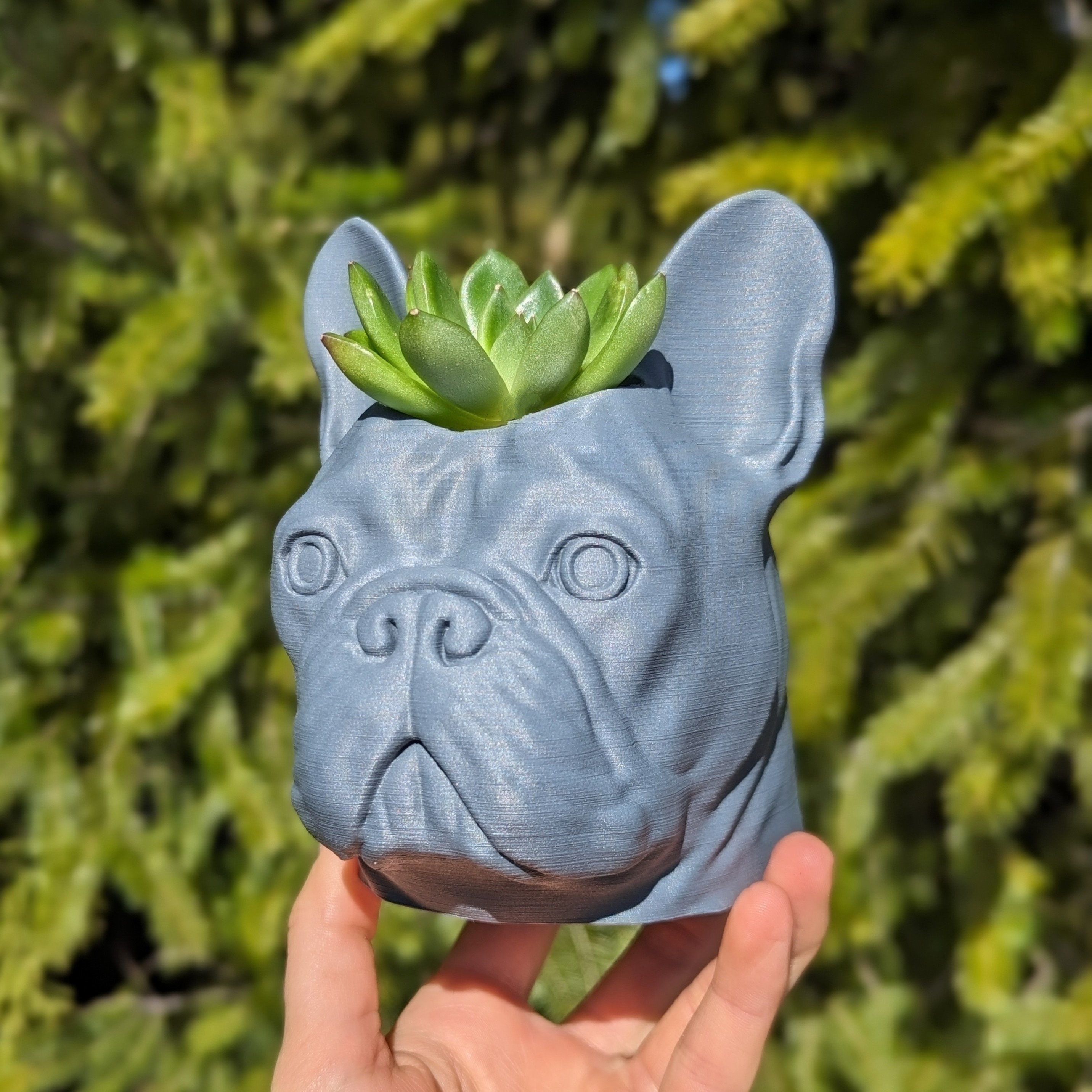 French Bulldog Planter, Made in USA Frenchie Pot With Drainage - Etsy