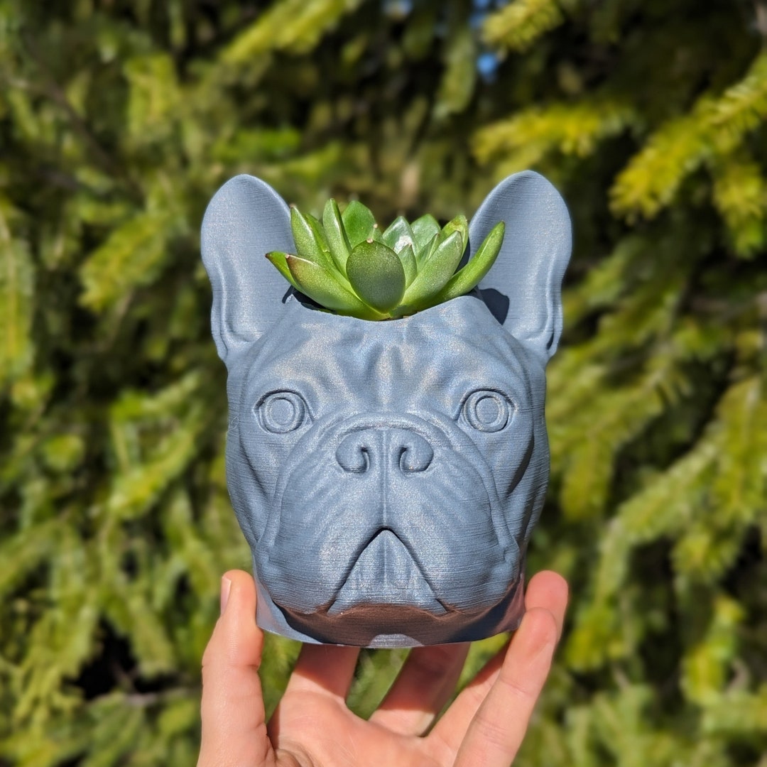 French Bulldog Planter, Made in USA Frenchie Pot With Drainage - Etsy