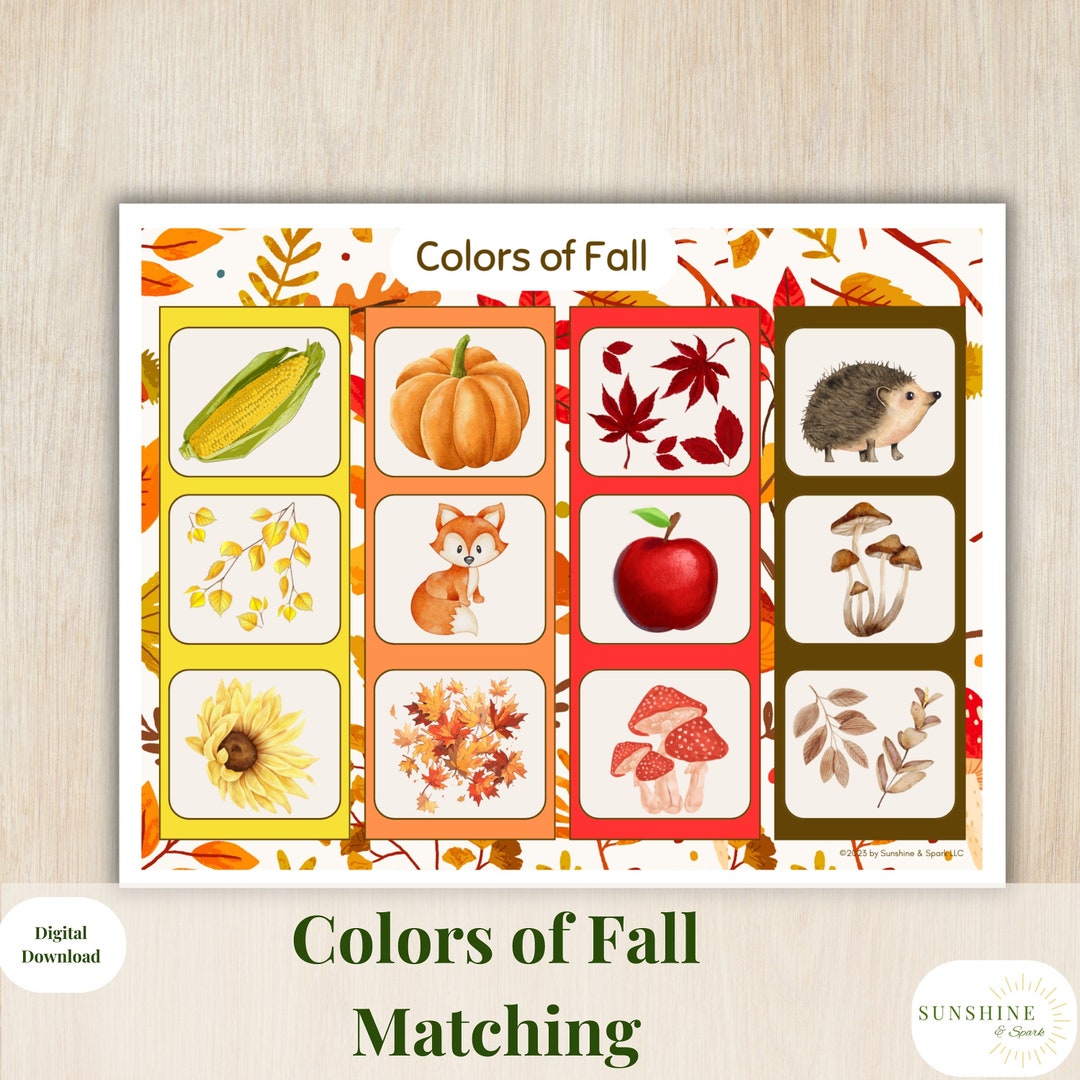 Colors of Fall Color Matching Game, Colors in Nature Fall Busy Book ...