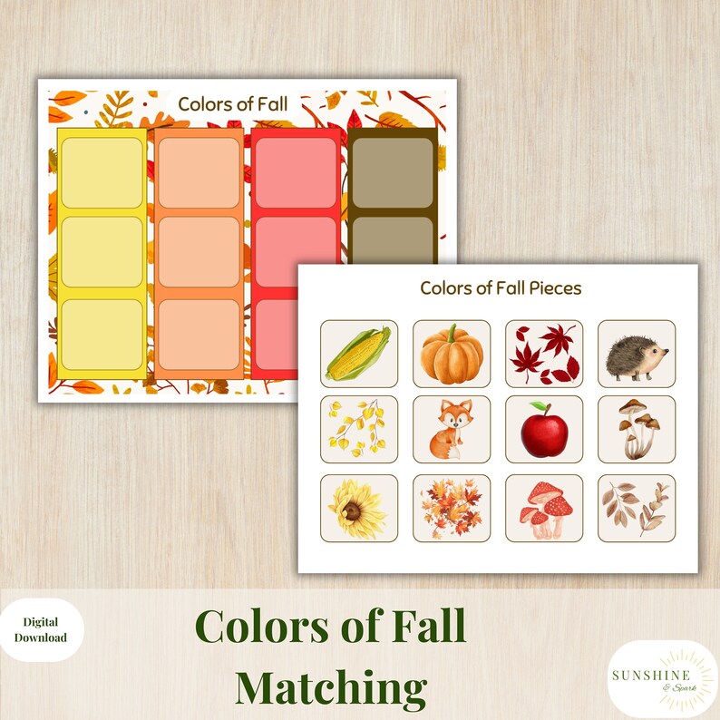 Colors of Fall Color Matching Game, Colors in Nature Fall Busy Book ...