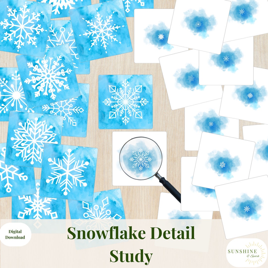 Snowflake Activity, Winter Unit Study Montessori Materials, Homeschool ...