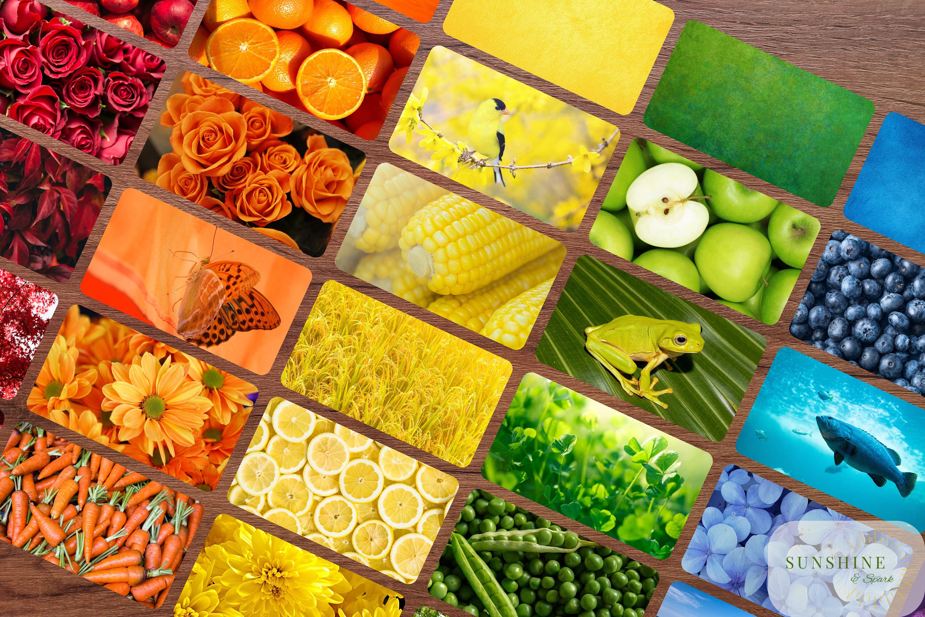 Color Matching Game | Montessori Color Matching Cards | Busy Book ...