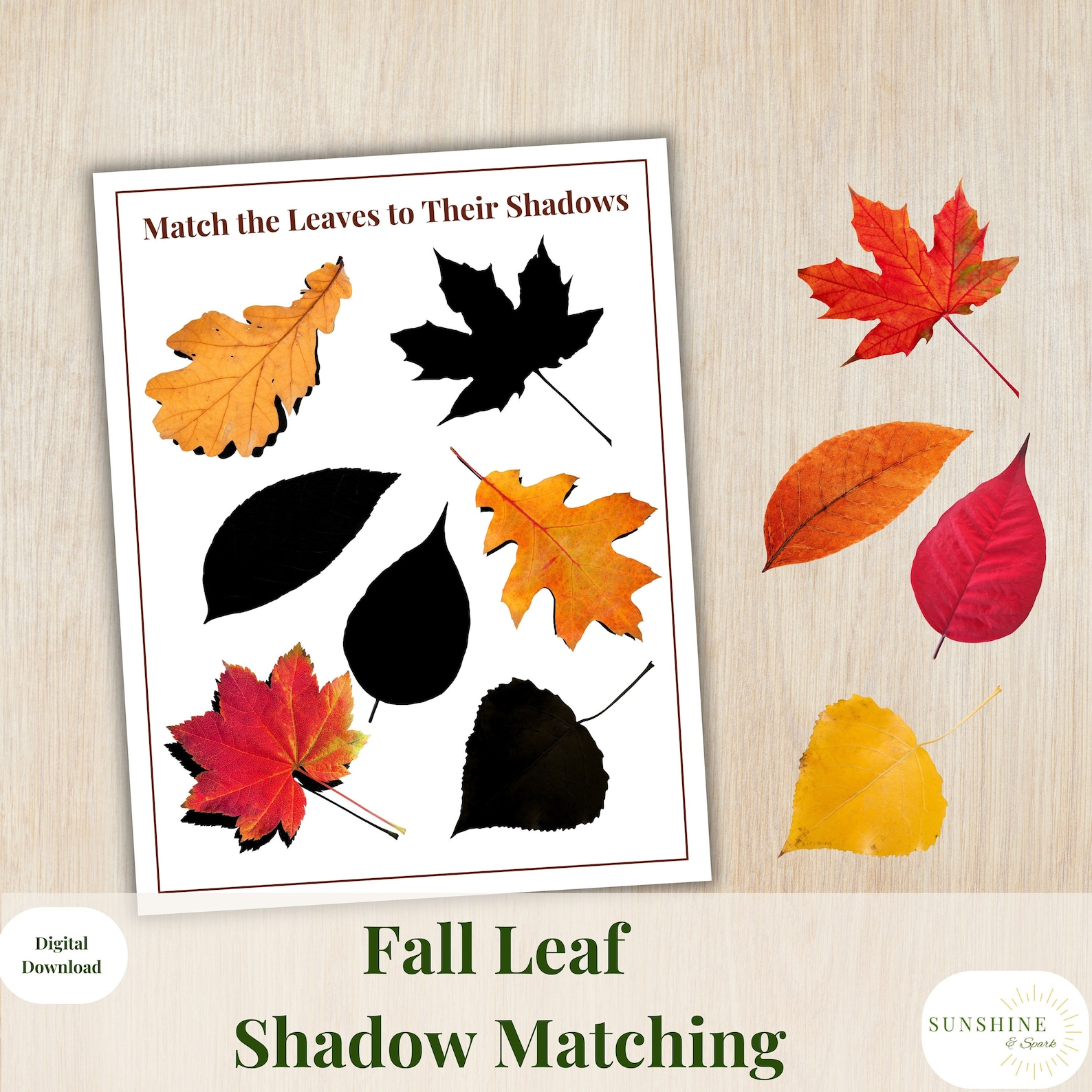Autumn Leaves Shadow Matching Montessori Printable. Nature Study ...