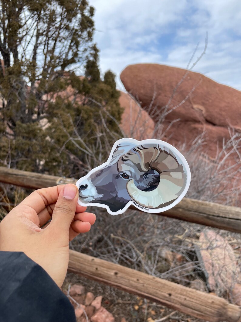 BIG HORN SHEEP Large Ram Sticker Handmade in Breckenridge, Colorado - Etsy