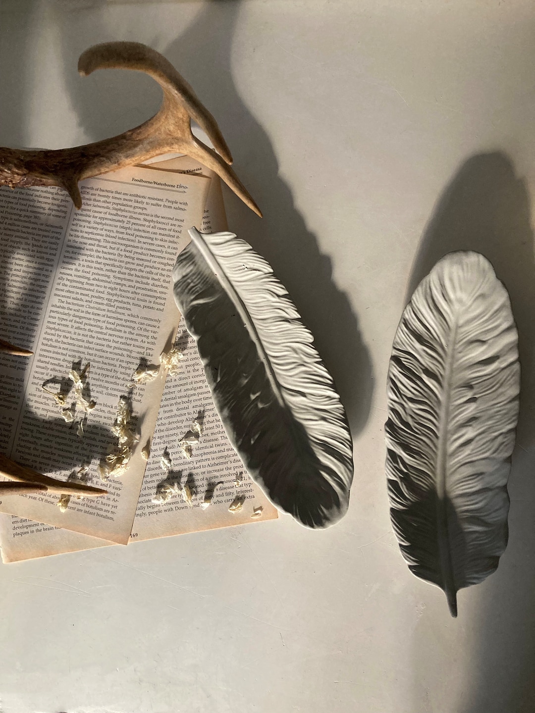 Handmade Concrete Feather Tray: Minimalist Jewelry Trinket Dish - Etsy