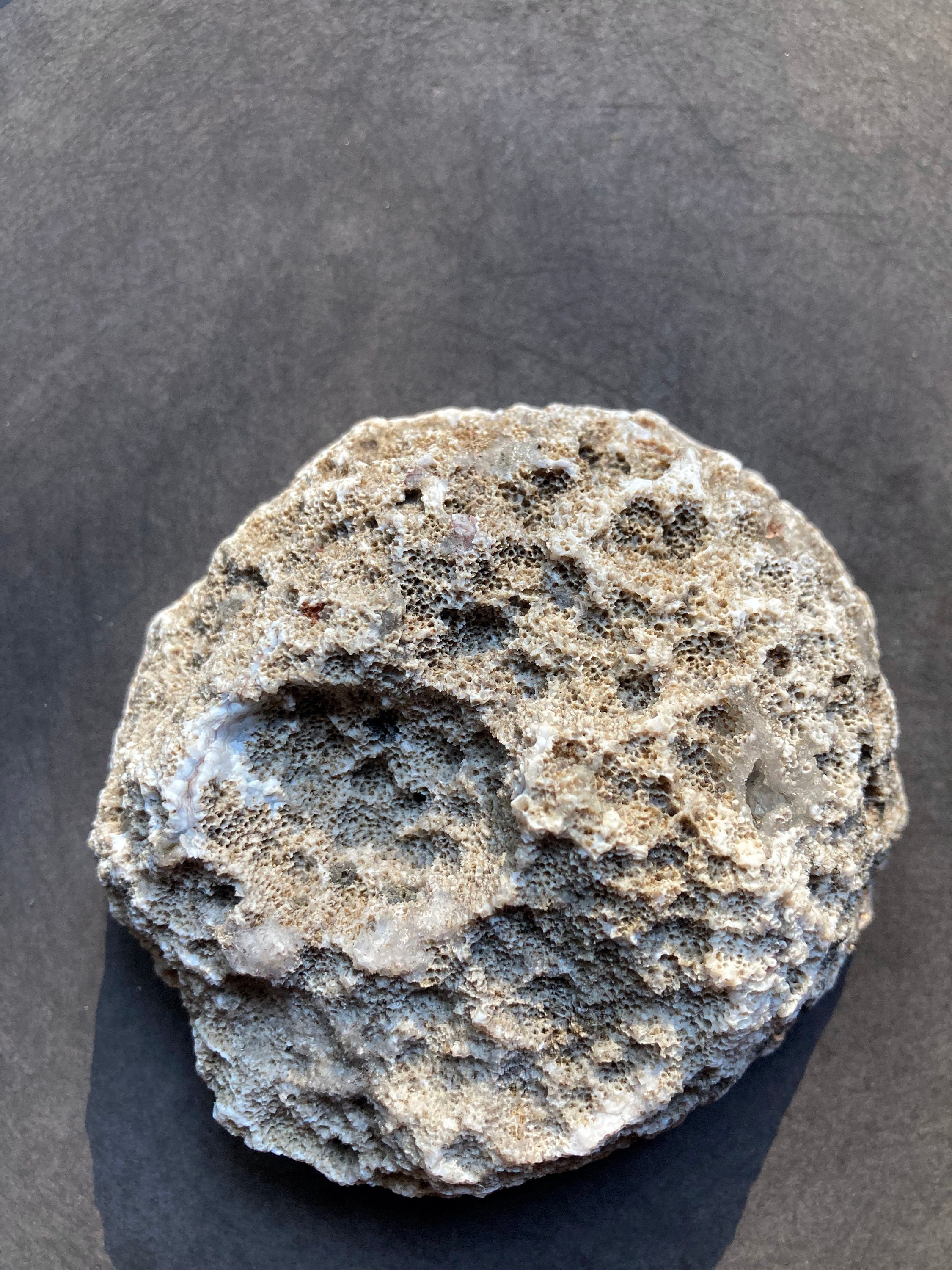 LAS CHOYAS COCONUT Polished Half, Agate Geode, Mexico Mineral, Polished ...