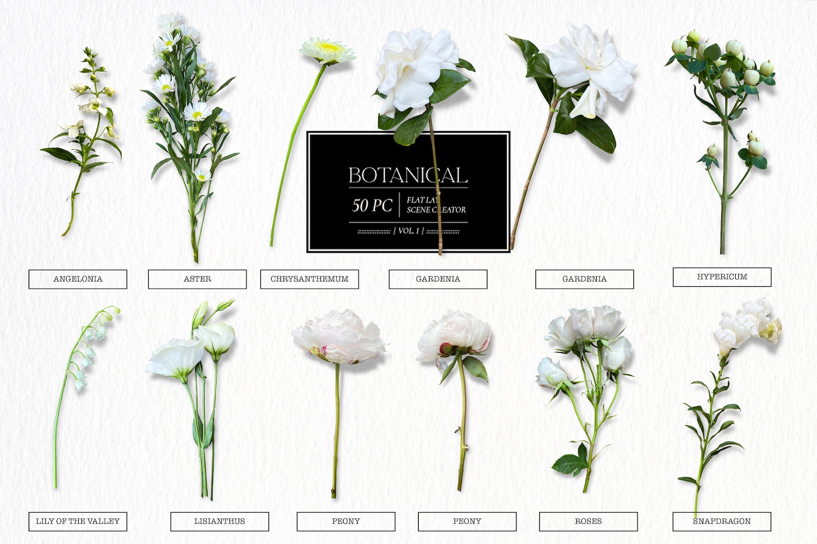 Botanical Floral Flat Lay Scene Creator - Etsy