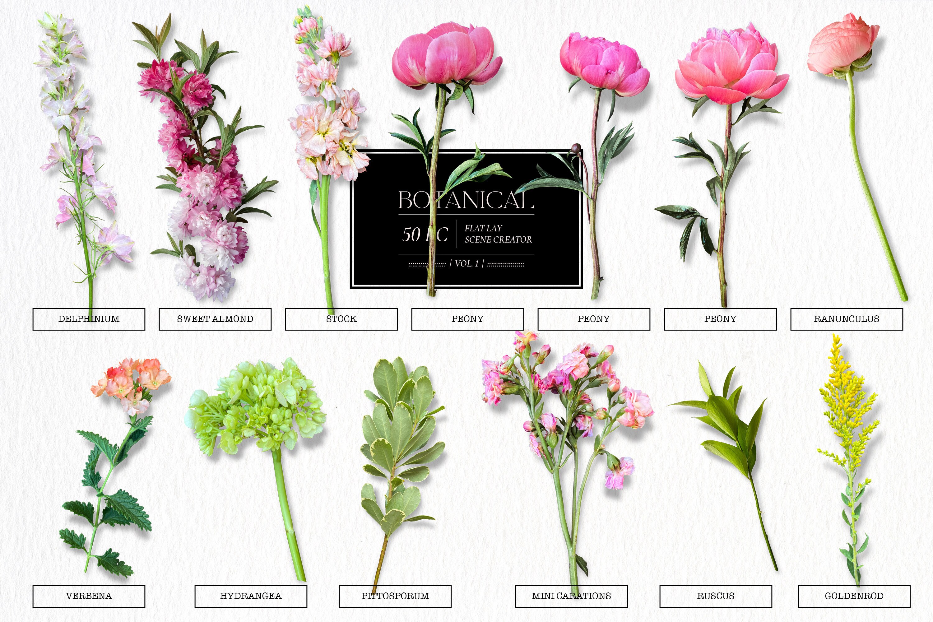 Botanical Floral Flat Lay Scene Creator - Etsy