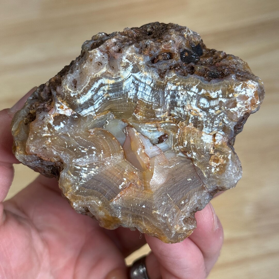 7.8oz Calandria Agate (mexico) | Rough Stone - Etsy