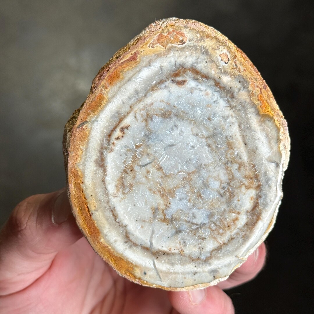 7.2oz Limestone Nodule | Polished - Etsy