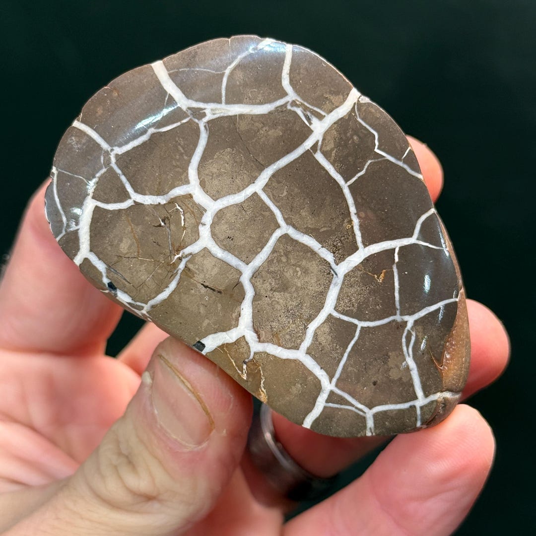 7.2oz Septarian “lightning Stone” Michigan | Polished - Etsy