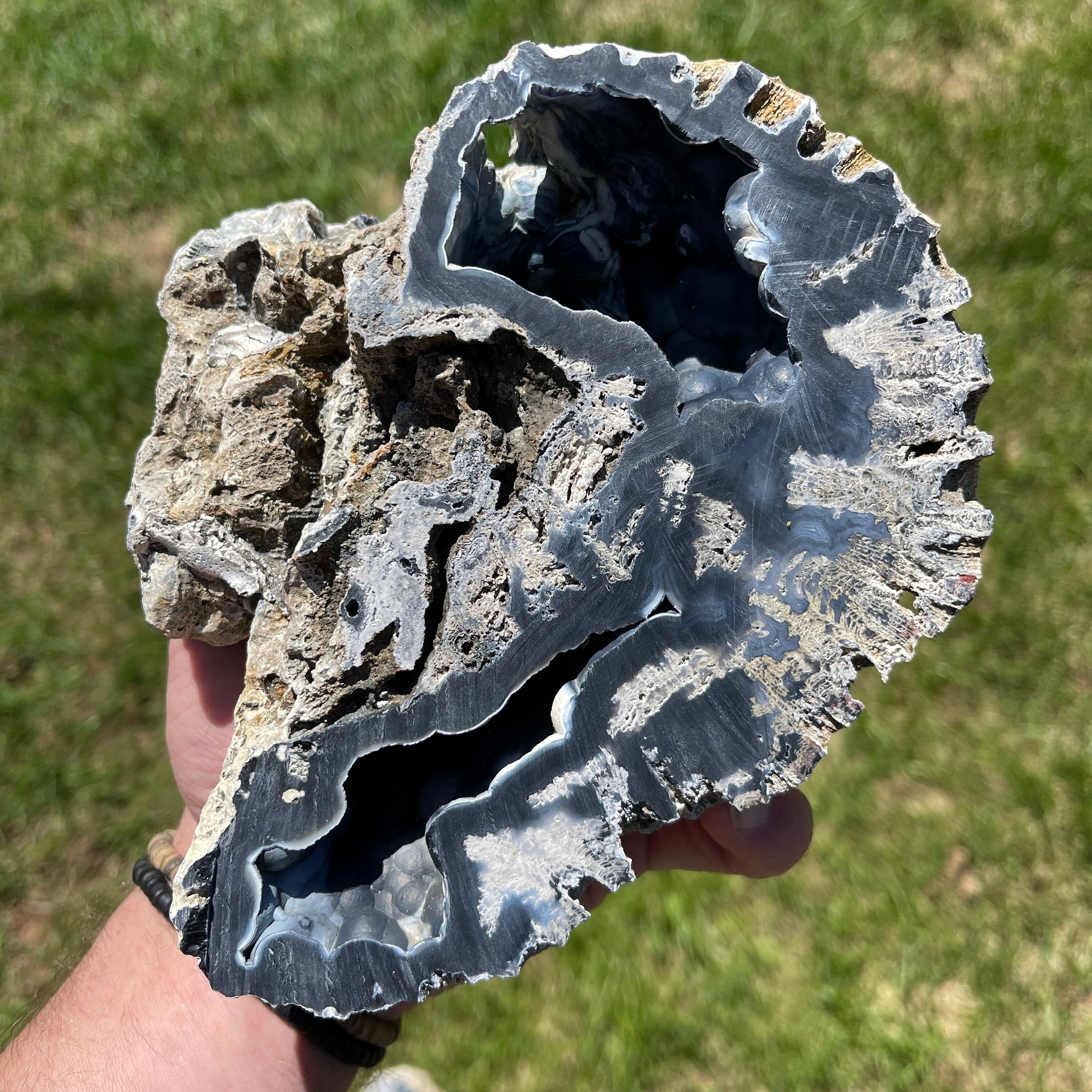 RARE Agatized Coral Geode unpolished Large Specimen - Etsy