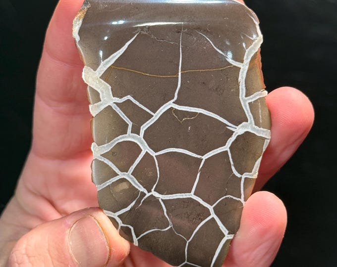 2.7oz Septarian “lightning Stone” Michigan | Polished - Etsy