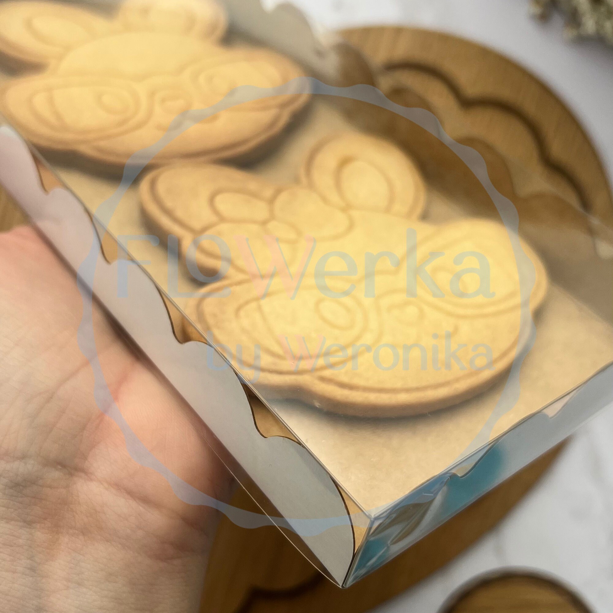 Set of 25 Scalloped Cardboard White-brown Box With Clear Lid for ...