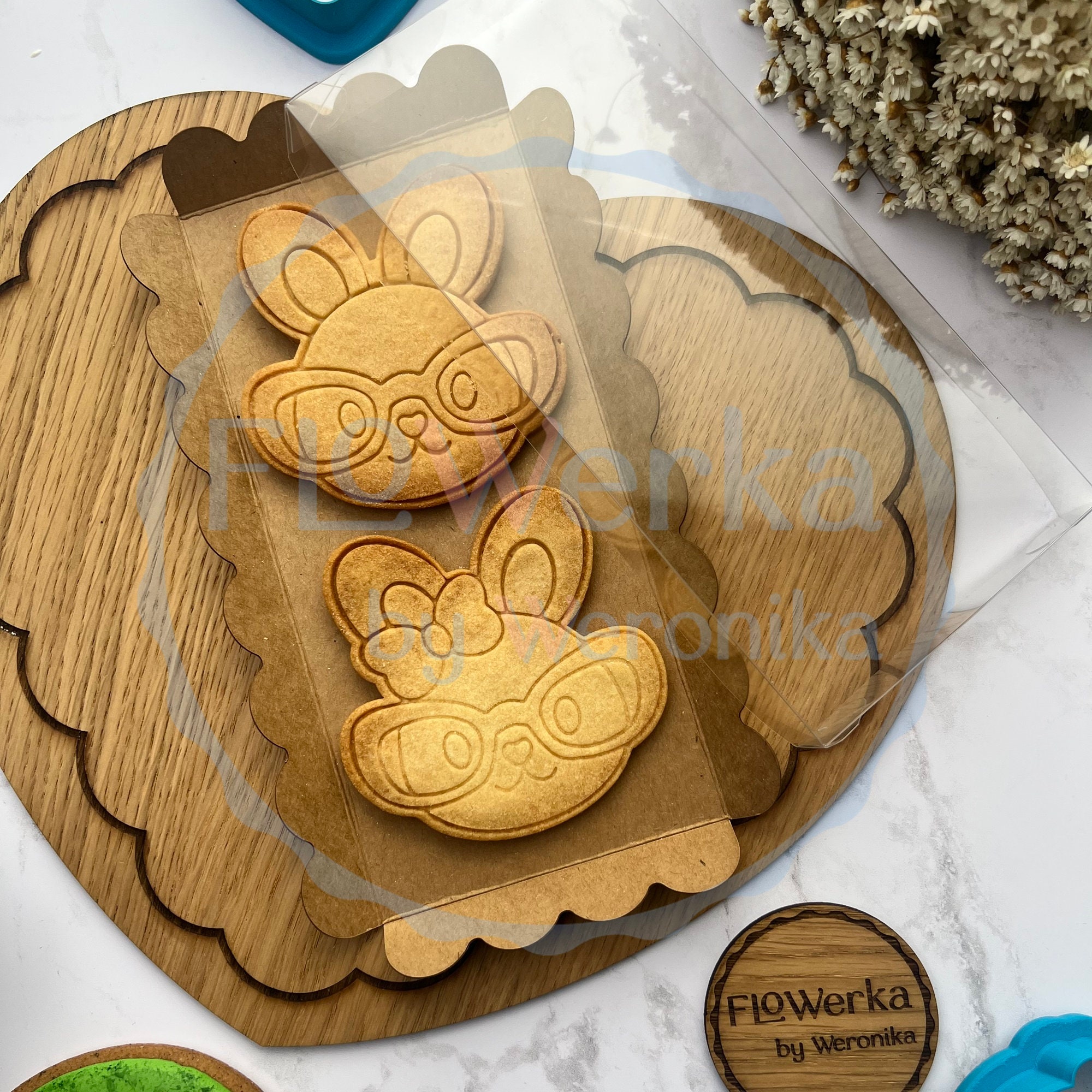 Set of 25 Scalloped Cardboard White-brown Box With Clear Lid for ...