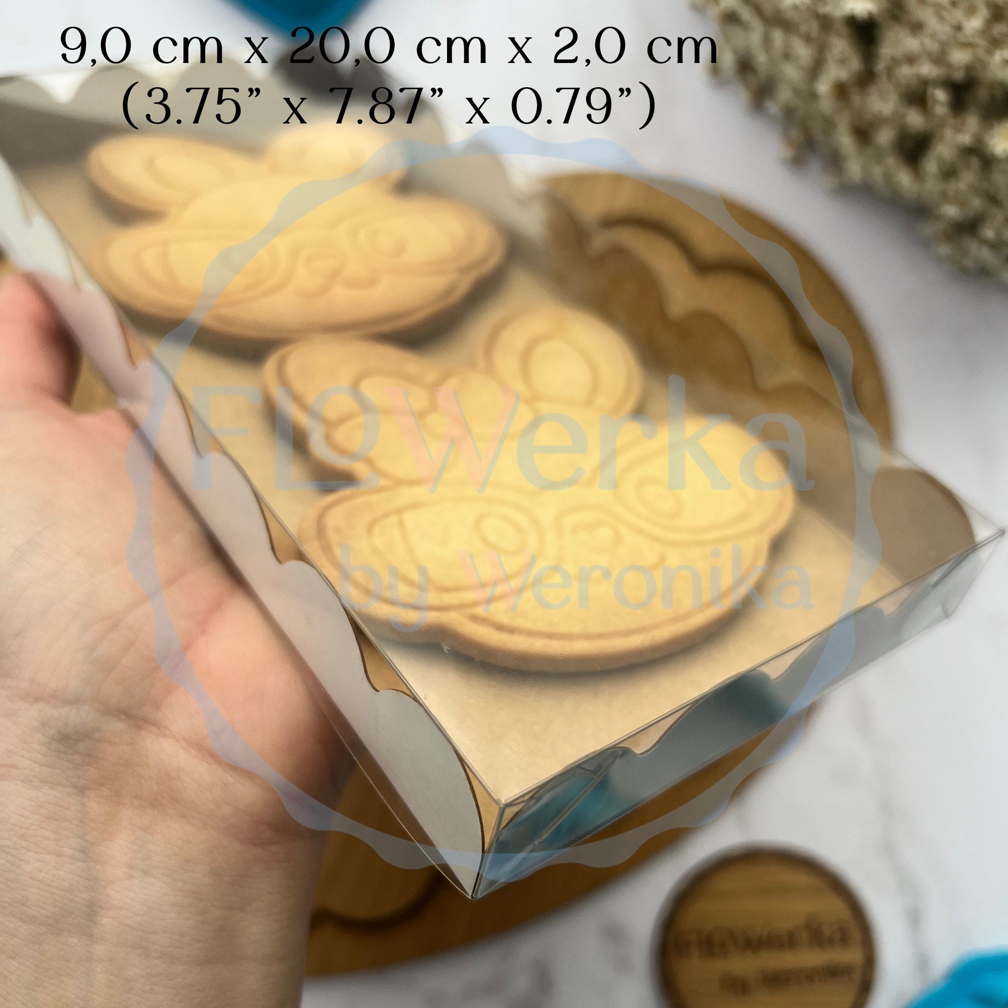 Set of 25 Scalloped Cardboard White-brown Box With Clear Lid for ...