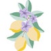 Lavender Lemon Wall Decor-lemon Wall Art-lemon Nursery-citrus Nursery ...