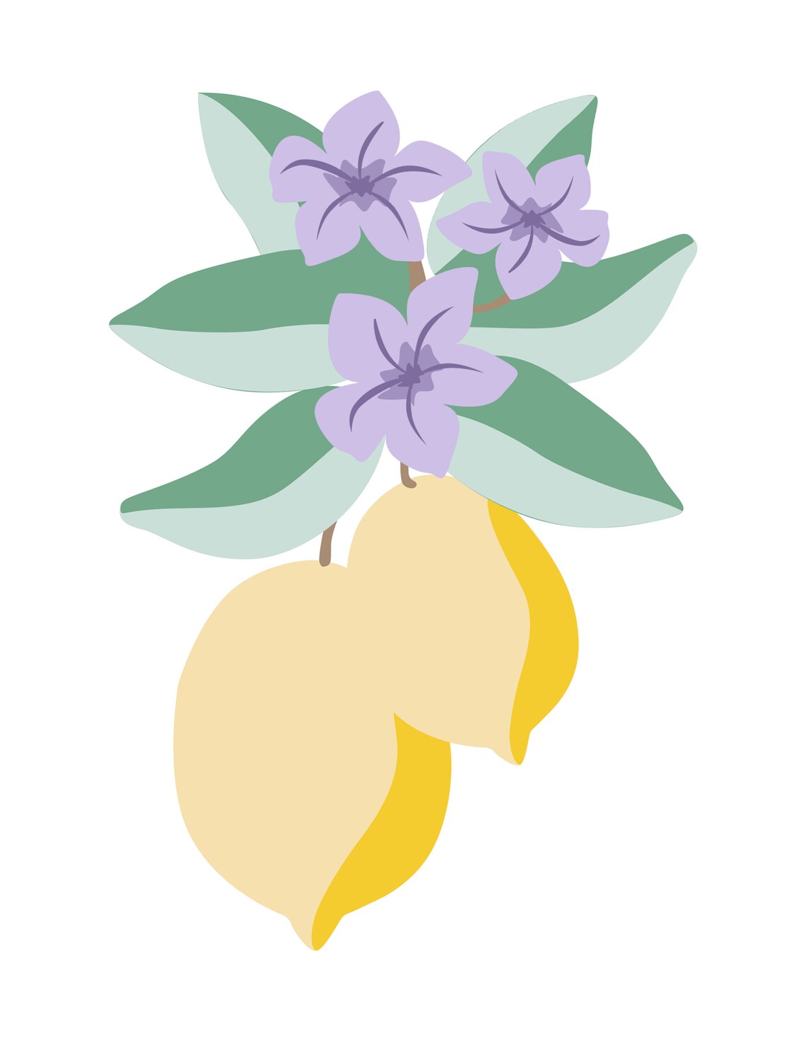 Lavender Lemon Wall Decor-lemon Wall Art-lemon Nursery-citrus Nursery ...