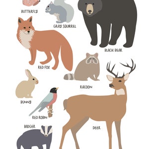 FOREST ANIMALS Wall Art|educational Forest Poster|forest Animal Wall ...