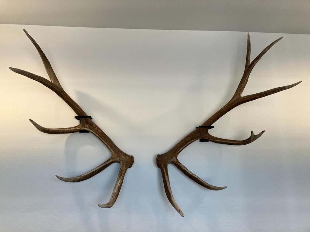 Elk Shed Mounts! Hang Your Elk Sheds With These Sturdy Mountable ...
