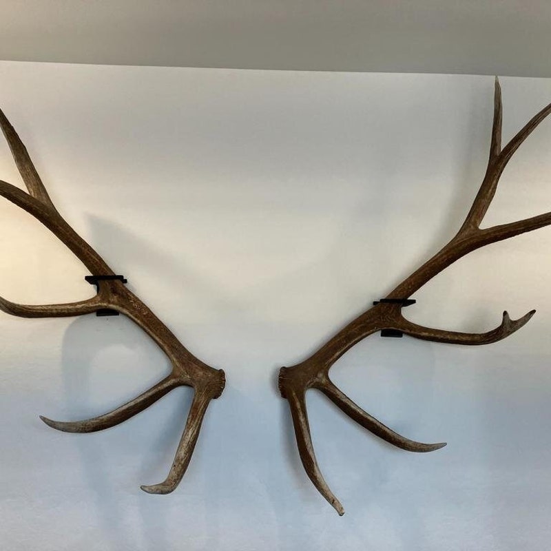 Elk Antlers Hanger - Etsy UK