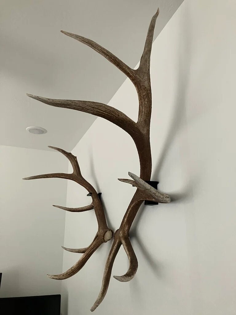 Elk Shed Mounts! Hang Your Elk Sheds With These Sturdy Mountable ...