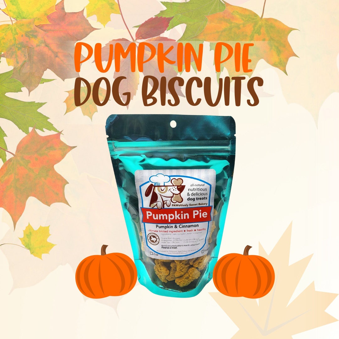 Pumpkin Dog Treats Fall Dog Treats Pumpkin Pumpkin Dog - Etsy