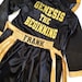 Personalized Satin Boxing Robe and Shorts Set - USA Made - Etsy