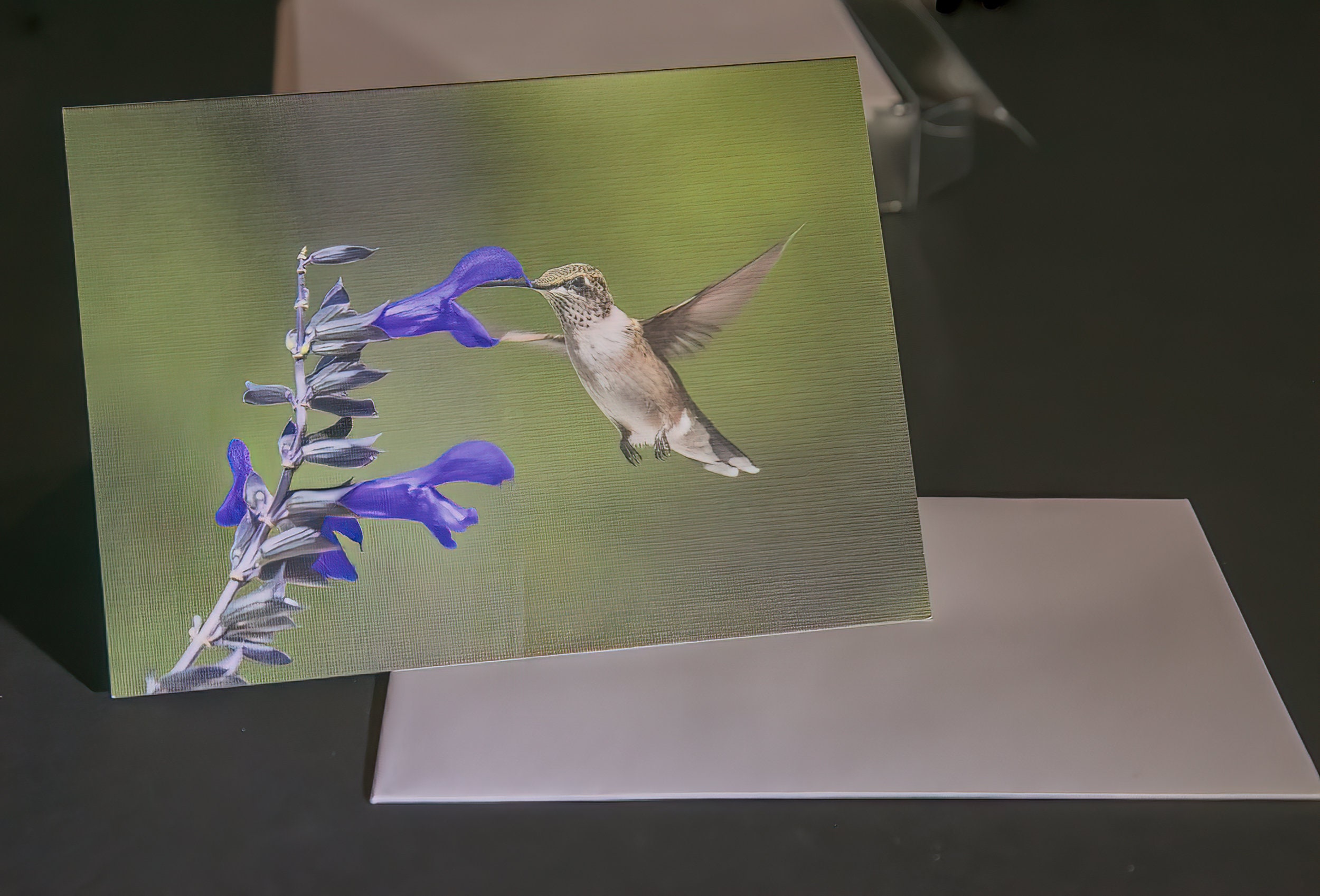 Hummingbird Note Cards, Greeting Cards, Blank Card, Nature Lover, Bird ...