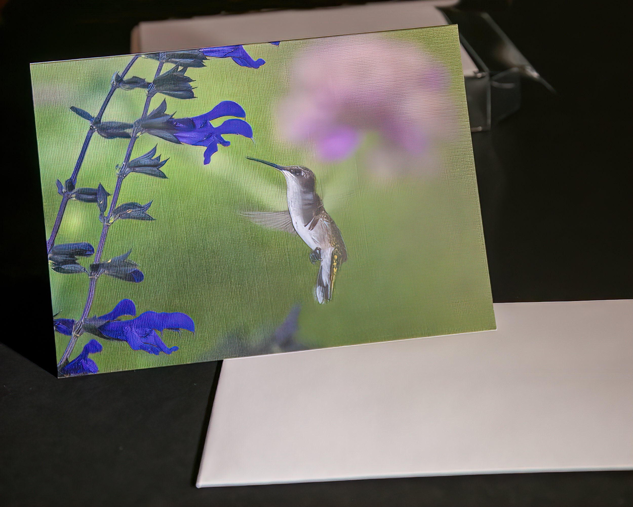 Hummingbird Note Cards, Greeting Cards, Blank Card, Nature Lover, Bird ...