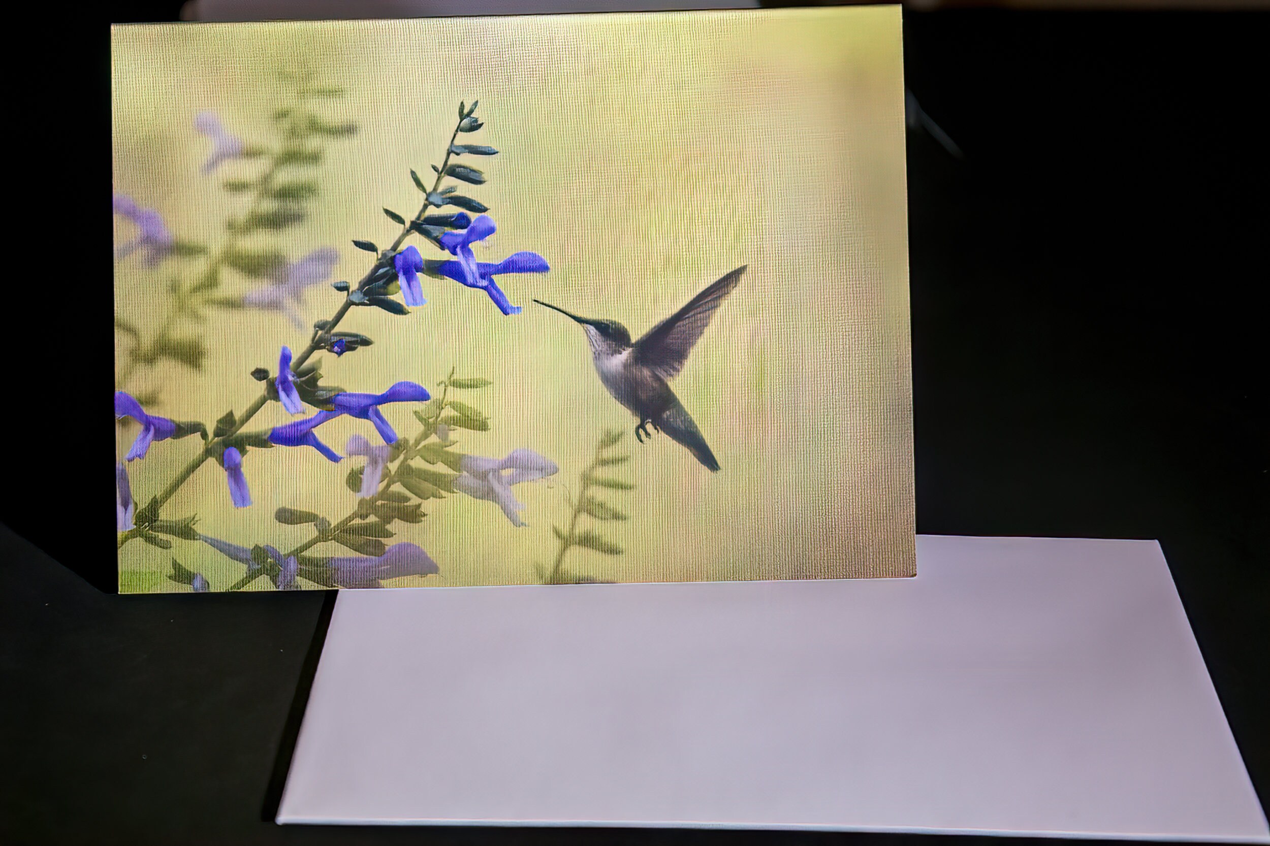 Hummingbird Note Cards, Greeting Cards, Blank Card, Nature Lover, Bird ...