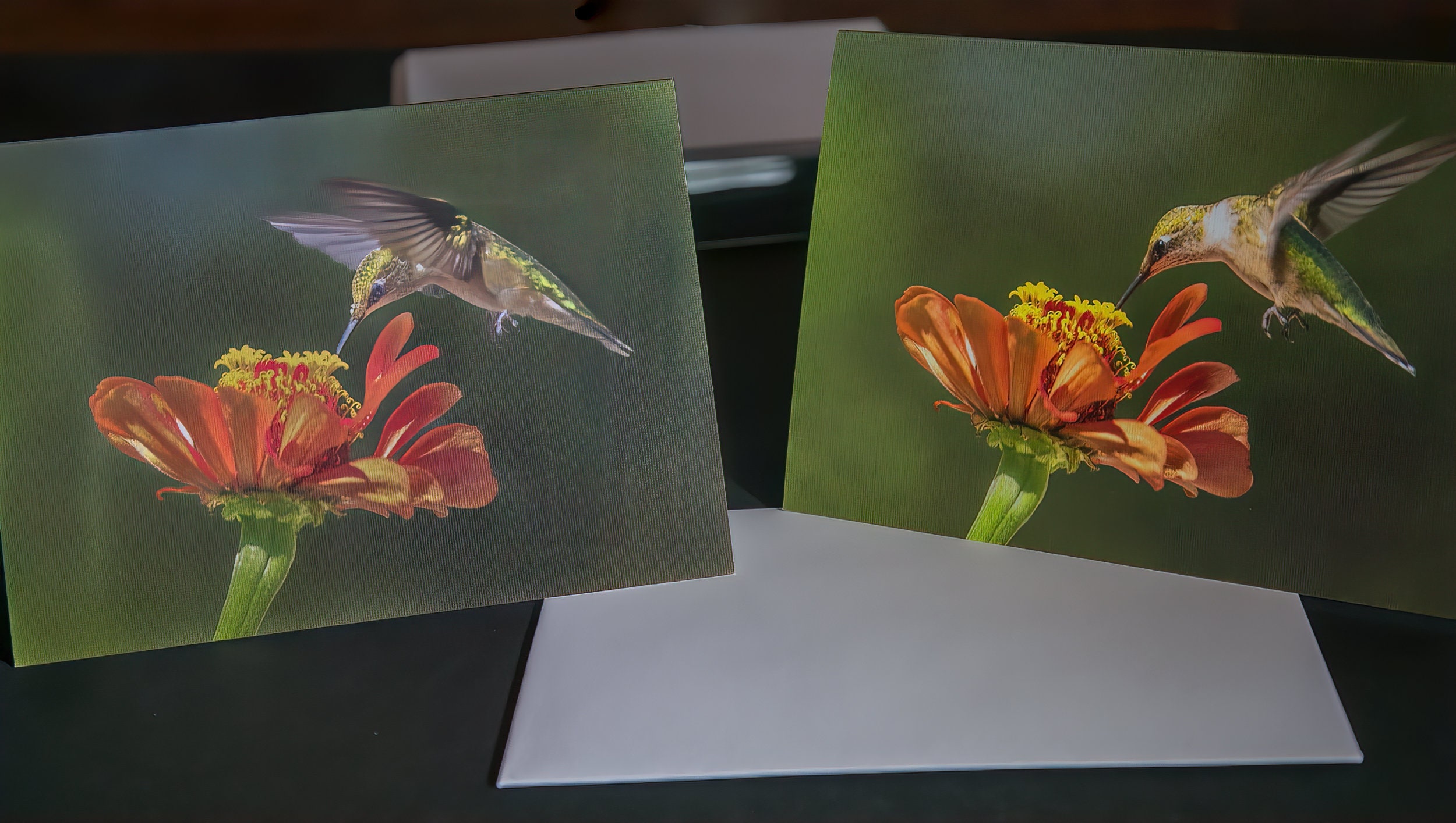 Hummingbird Note Cards, Greeting Cards, Blank Card, Nature Lover, Bird ...