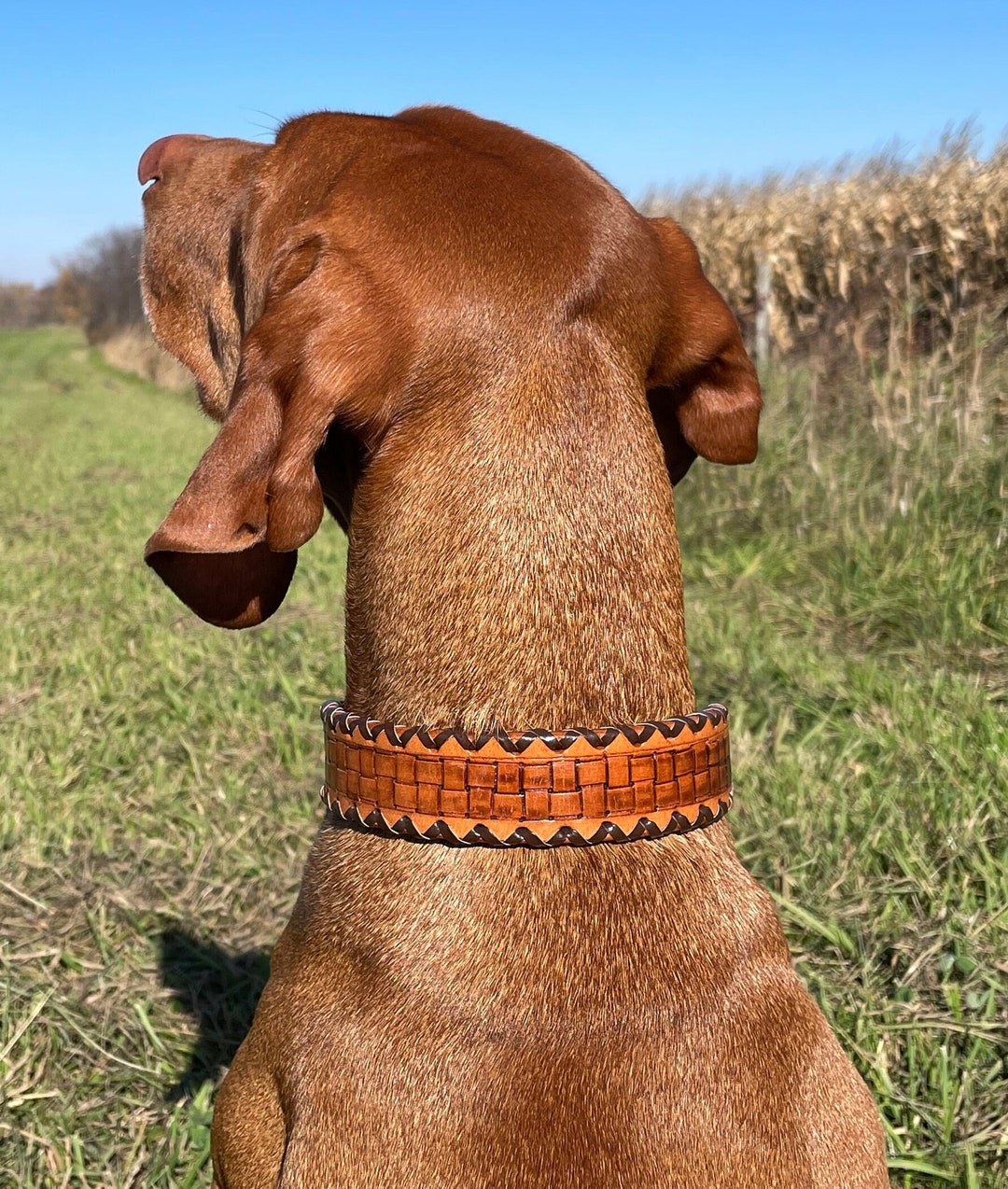 Western Cowboy Leather Dog Collar - Genuine Leather Dog Collar - Etsy