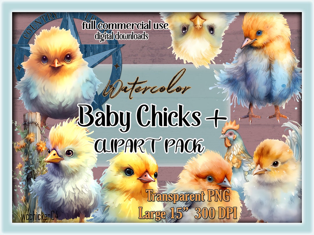 20+ Watercolor Baby Chicks+clipart Bundle-boho Pastel Chickens-digital ...