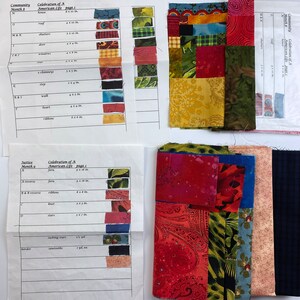 Celebration of American Life BOM Quilt Kit by Barb Adams & Alma Allen ...