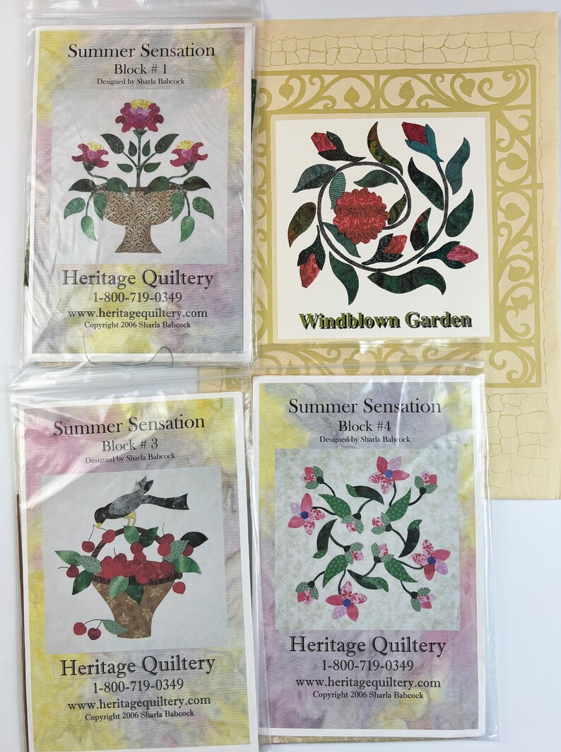 Summer Sensation Quilt Kit by Sharla Babcock - Beautiful Album Quilt - Etsy