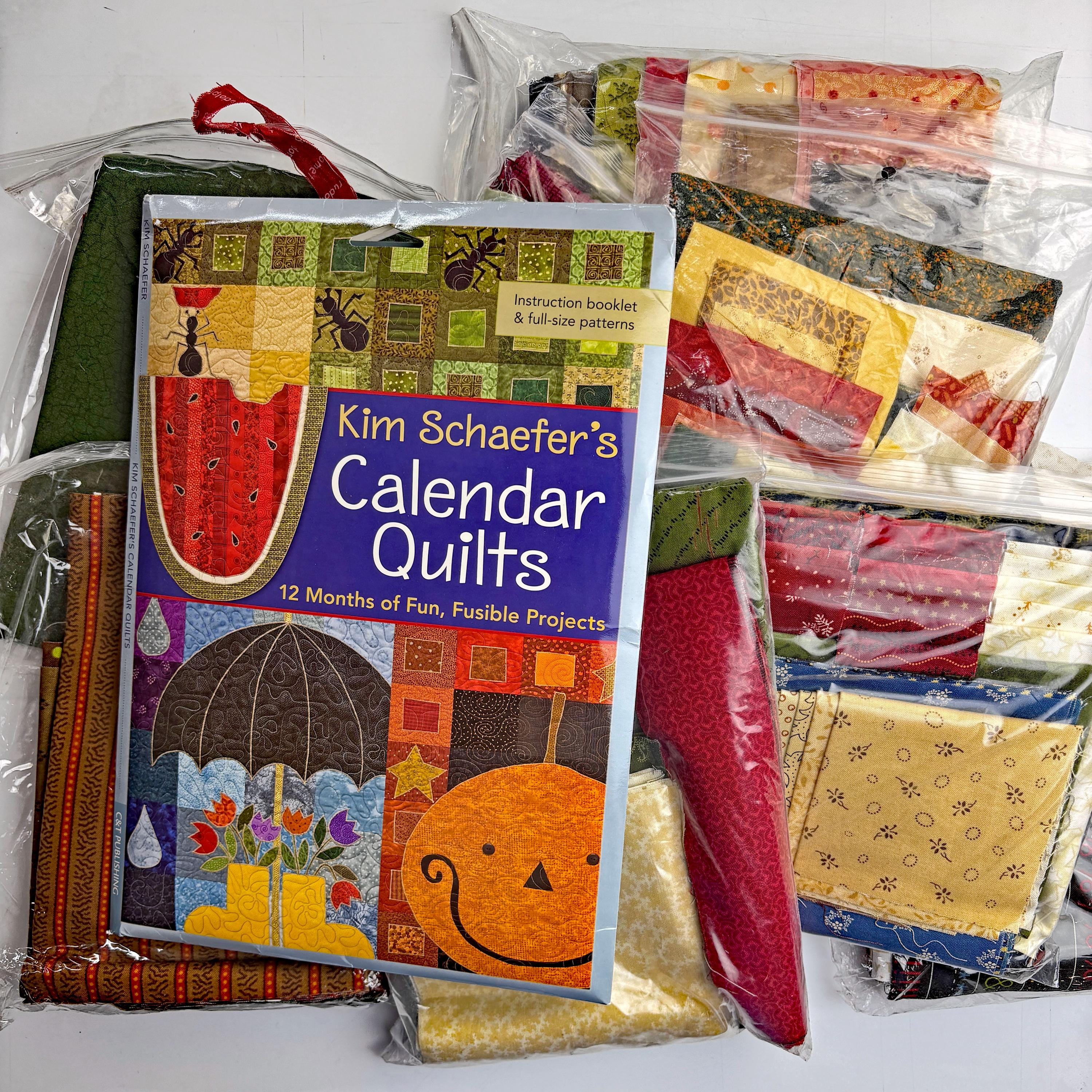 Calendar Quilts Quilt Kit From Kim Schaefer Months of the Year Mini ...