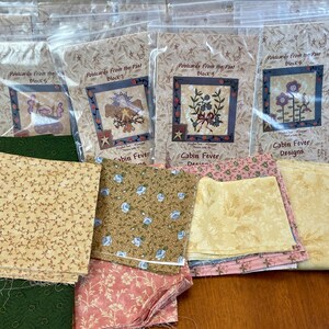 Postcards From the Past Quilt Kit by Robyn Pandolph / Cabin Fever ...