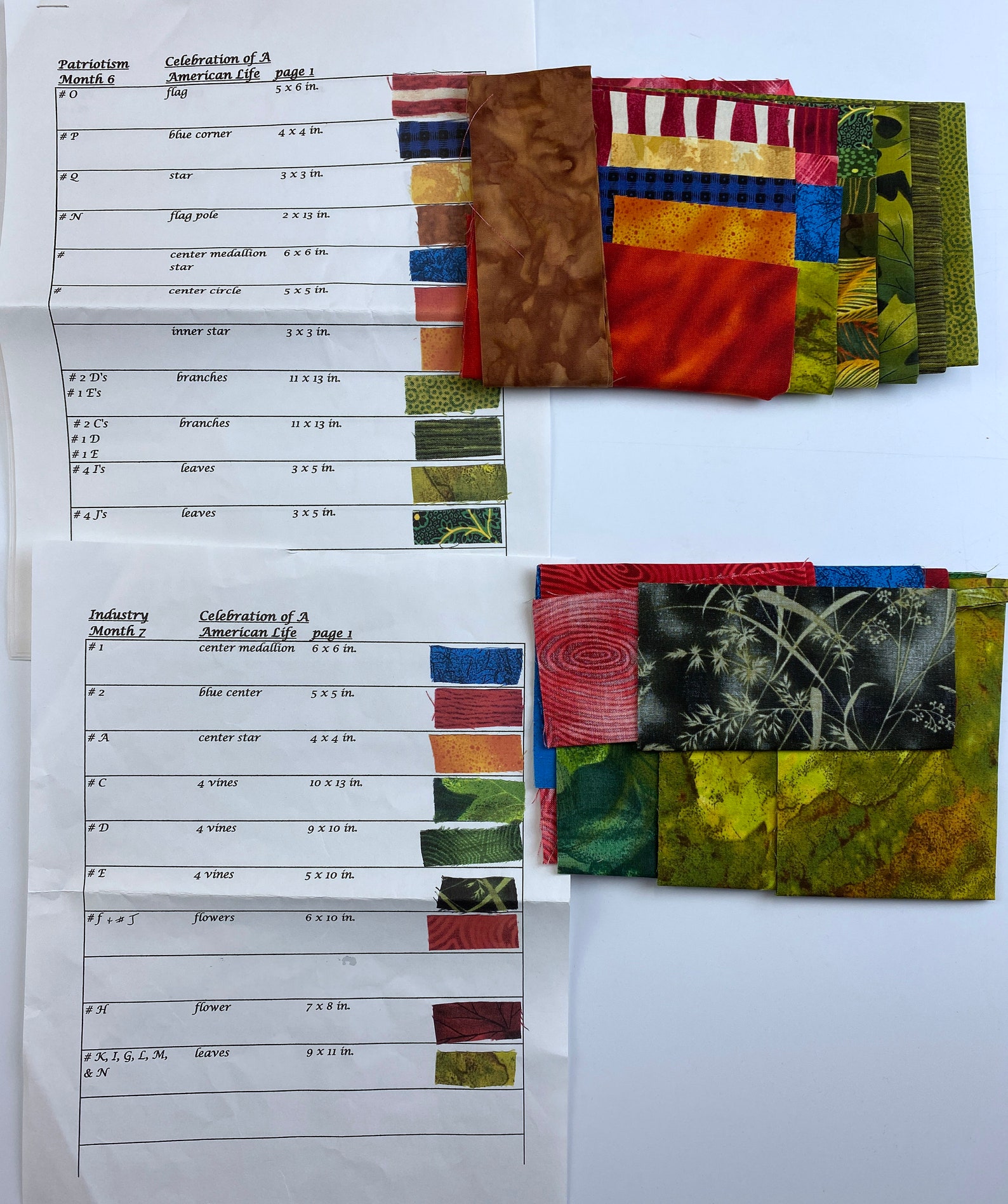 Celebration of American Life BOM Quilt Kit by Barb Adams & Alma Allen ...