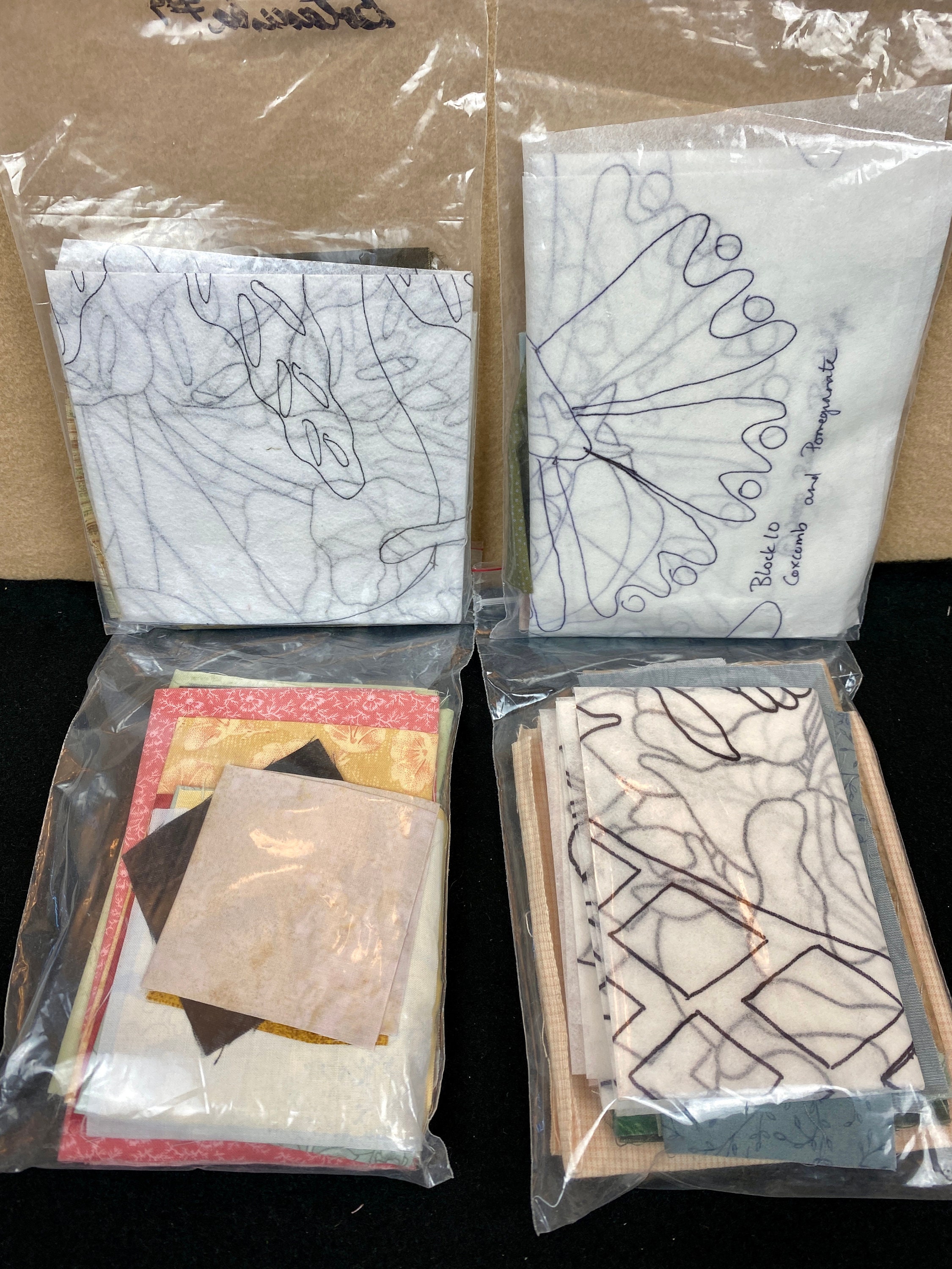 Botanika Quilt Kit by Robyn Pandolph / Coxcombs & Pomegranates - Etsy