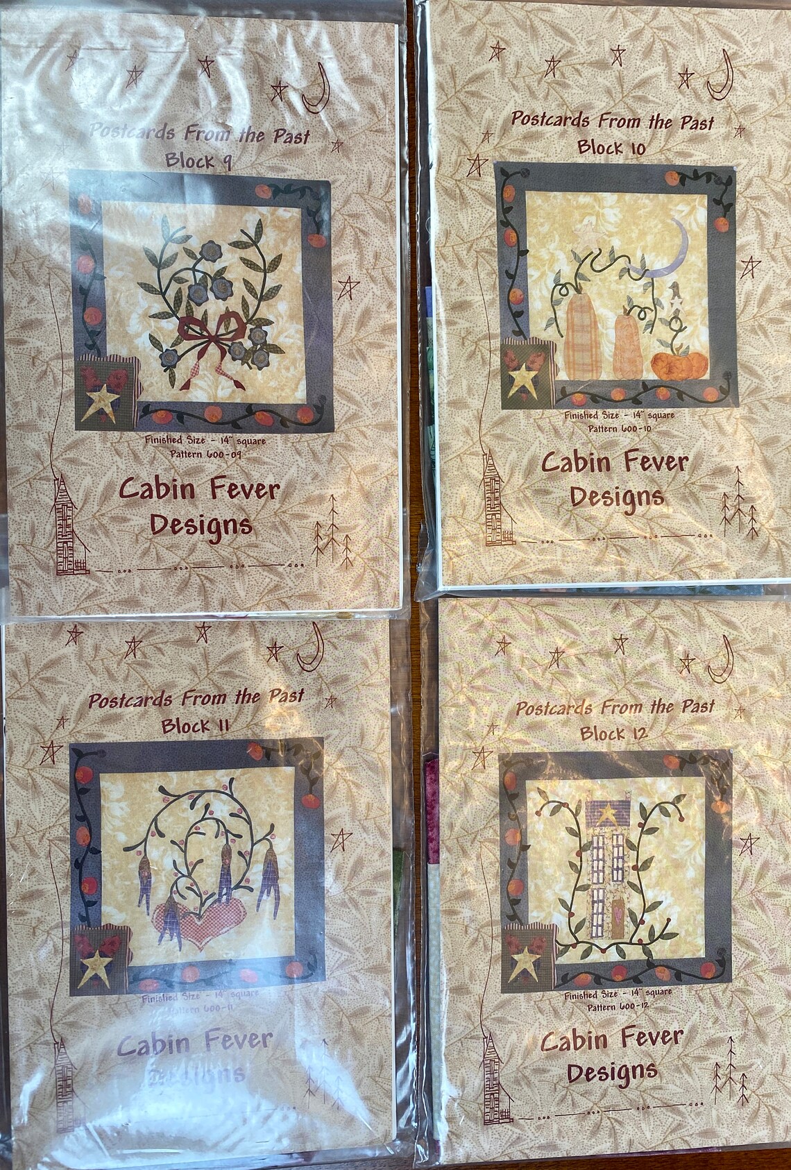 Postcards From the Past Quilt Kit by Robyn Pandolph / Cabin - Etsy
