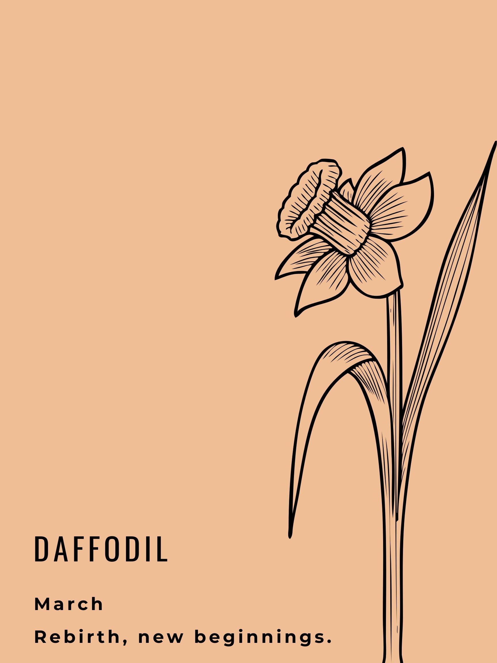 Daffodils - March Birth Month Flower - Digital Download Print - Etsy