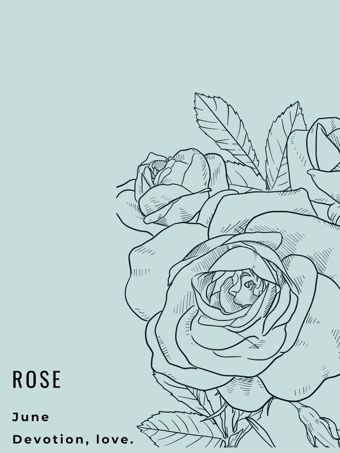 Rose- June Birth Month Flower - Digital Download Print - Etsy