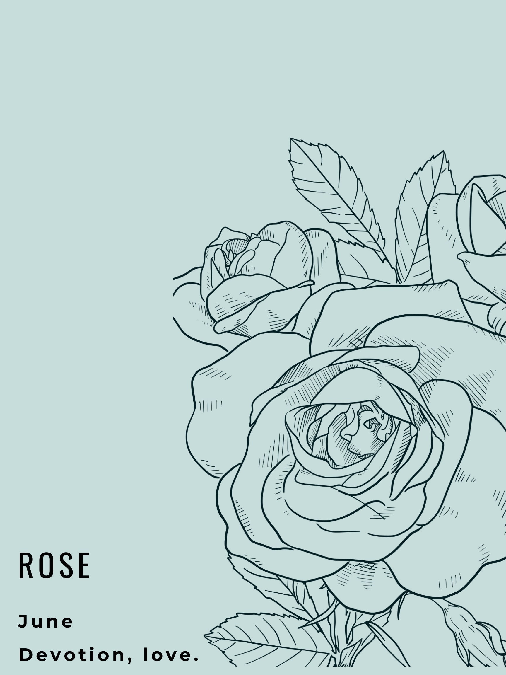 Rose- June Birth Month Flower - Digital Download Print - Etsy