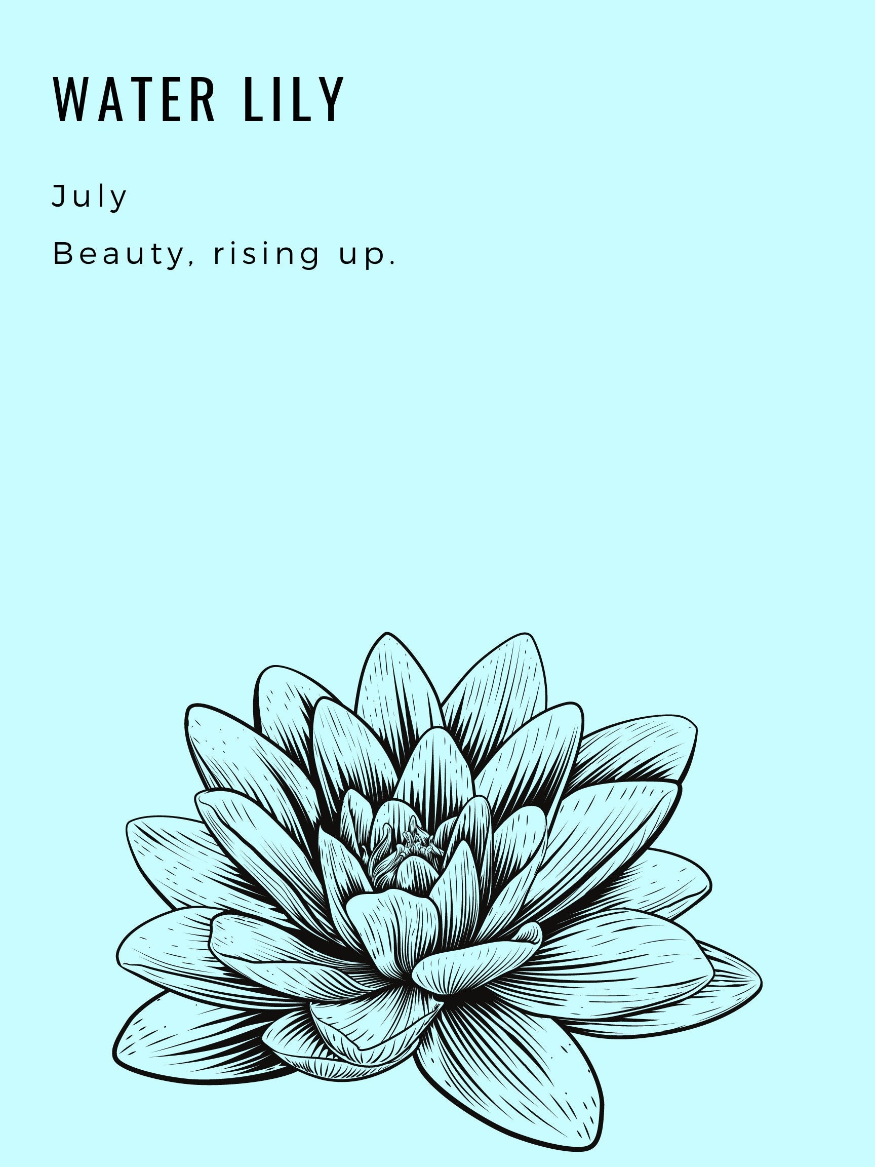 Water Lily July Birth Month Flower Digital Download Print - Etsy