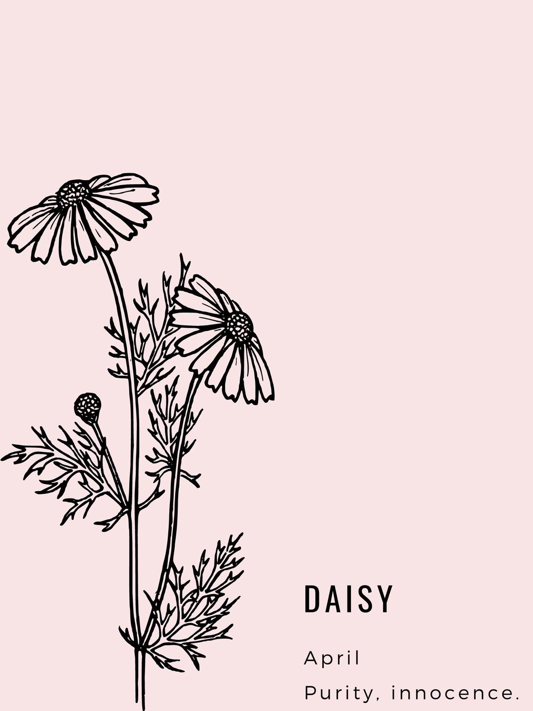 Daisy - April Birth Month Flower - Digital Download Print - Etsy
