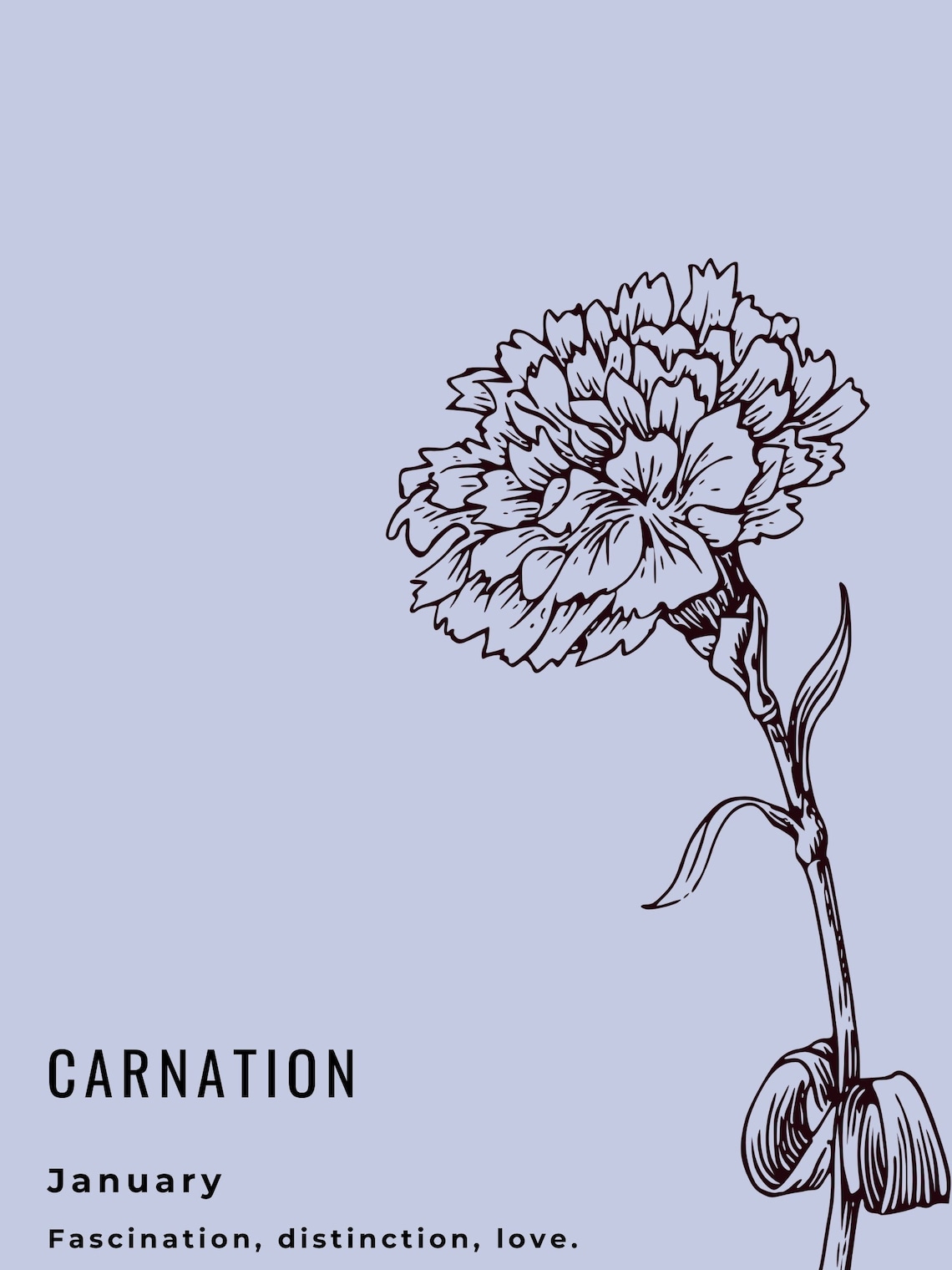 Carnation January Birth Flower Digital Download Print - Etsy
