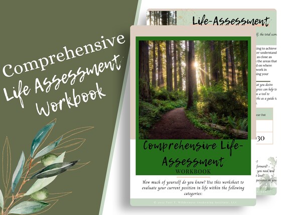 Comprehensive Life Assessment Workbook Self-assessment - Etsy