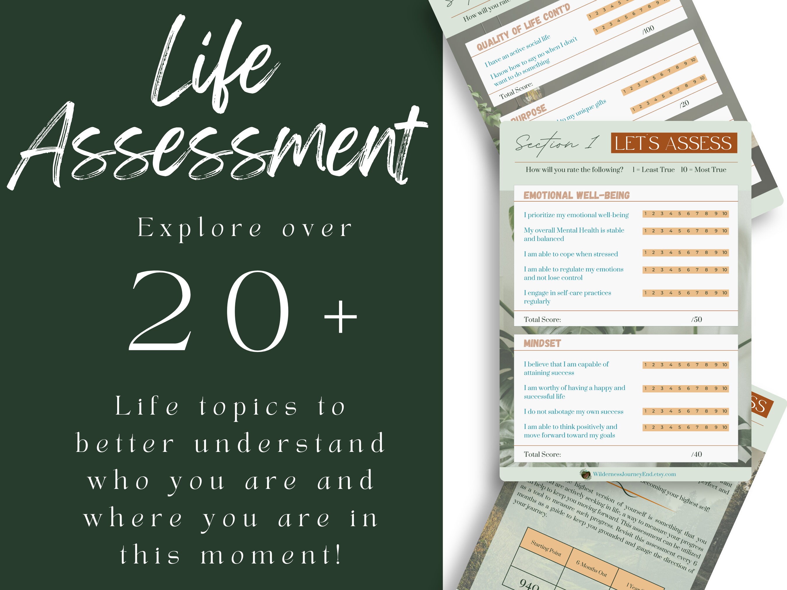 Comprehensive Life Assessment Workbook Self-assessment Emotional Health ...